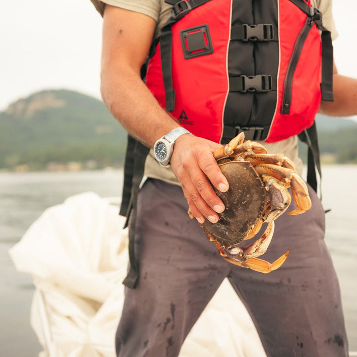 VERO Watches | Modern Adventure Watches Inspired by Nature – VERO Watch ...