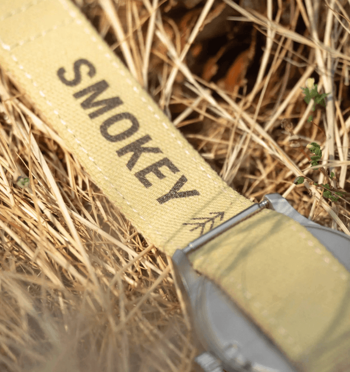 The Smokey '64 – VERO Watch Company